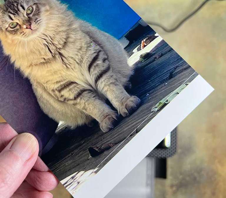 Canon SELPHY CP1500 Compact Photo Printer review - The Gadgeteer