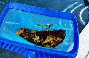 Aiper Seagull SE cordless robotic pool cleaner review - An affordable ...