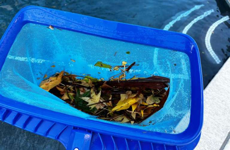 Aiper Seagull SE cordless robotic pool cleaner review - An affordable ...