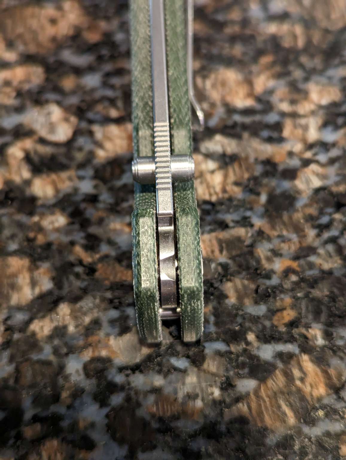 Vosteed Raccoon folding knife review - pocket sized guardian - The Gadgeteer