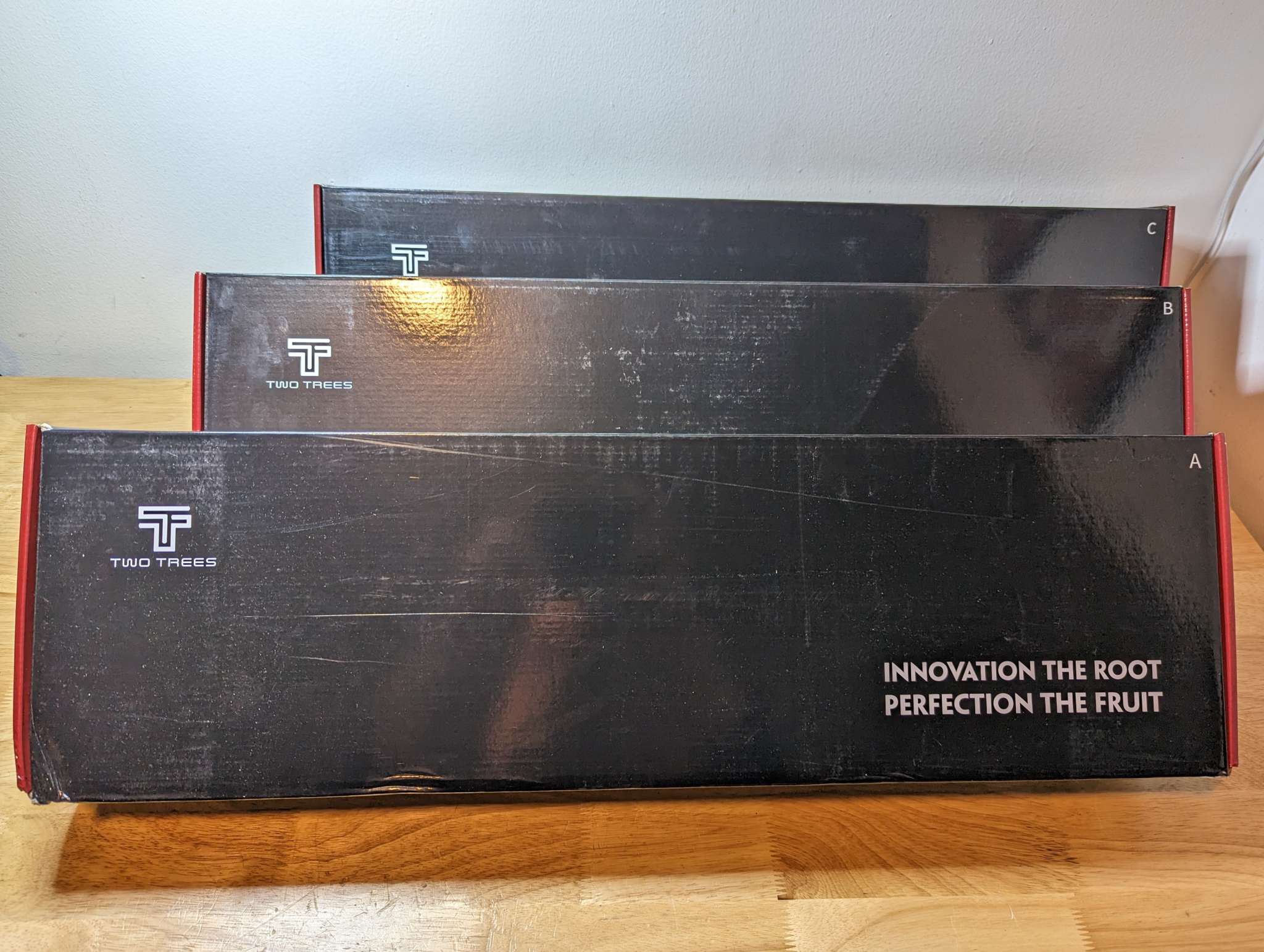 TwoTrees TS2 10W Diode Laser Engraver review - A powerful auto-focusing ...