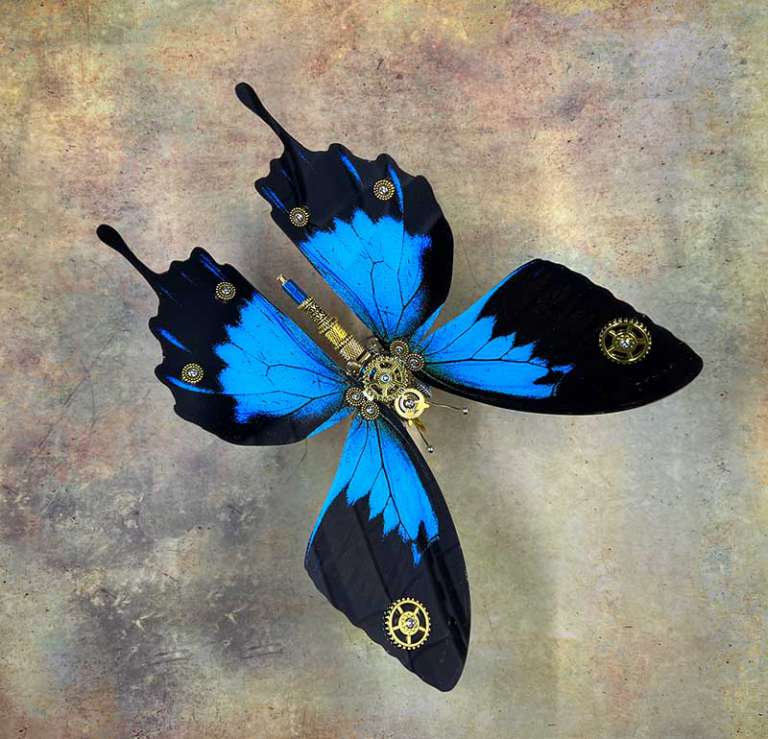 Moyustore 3D Steampunk Butterfly model kit review - The Gadgeteer