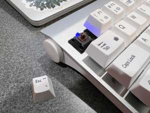 Wombat Ginkgo Professional mechanical keyboard review - The Gadgeteer