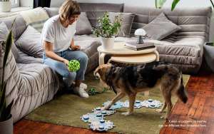 FluentPet teaches your pet to talk! - The Gadgeteer