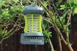This versatile Bug Zapper, fan, and light is now almost 70% off - The ...