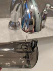 Bitvae Water Flosser review - No parsley between YOUR teeth! - The ...