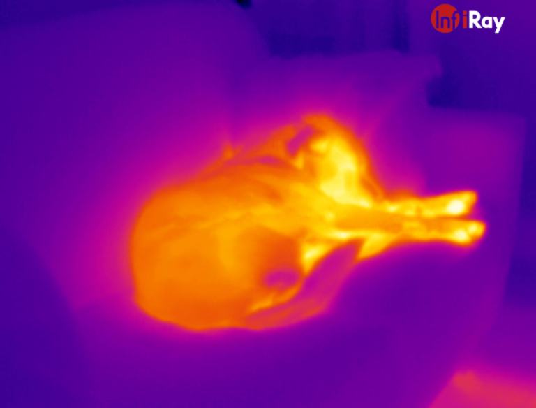 InfiRay Xinfrared T2S+ thermal camera review - ever wanted to see heat ...