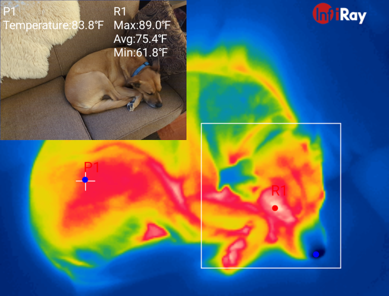 InfiRay Xinfrared T2S+ thermal camera review - ever wanted to see heat ...