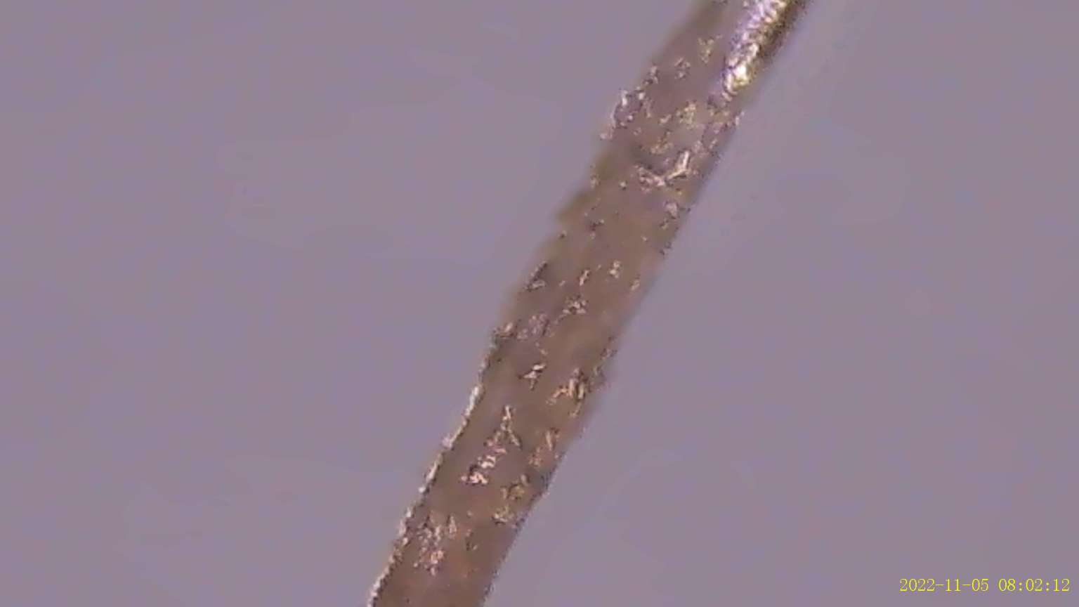 Apexel APL-MS003 digital microscope kit review - The Gadgeteer