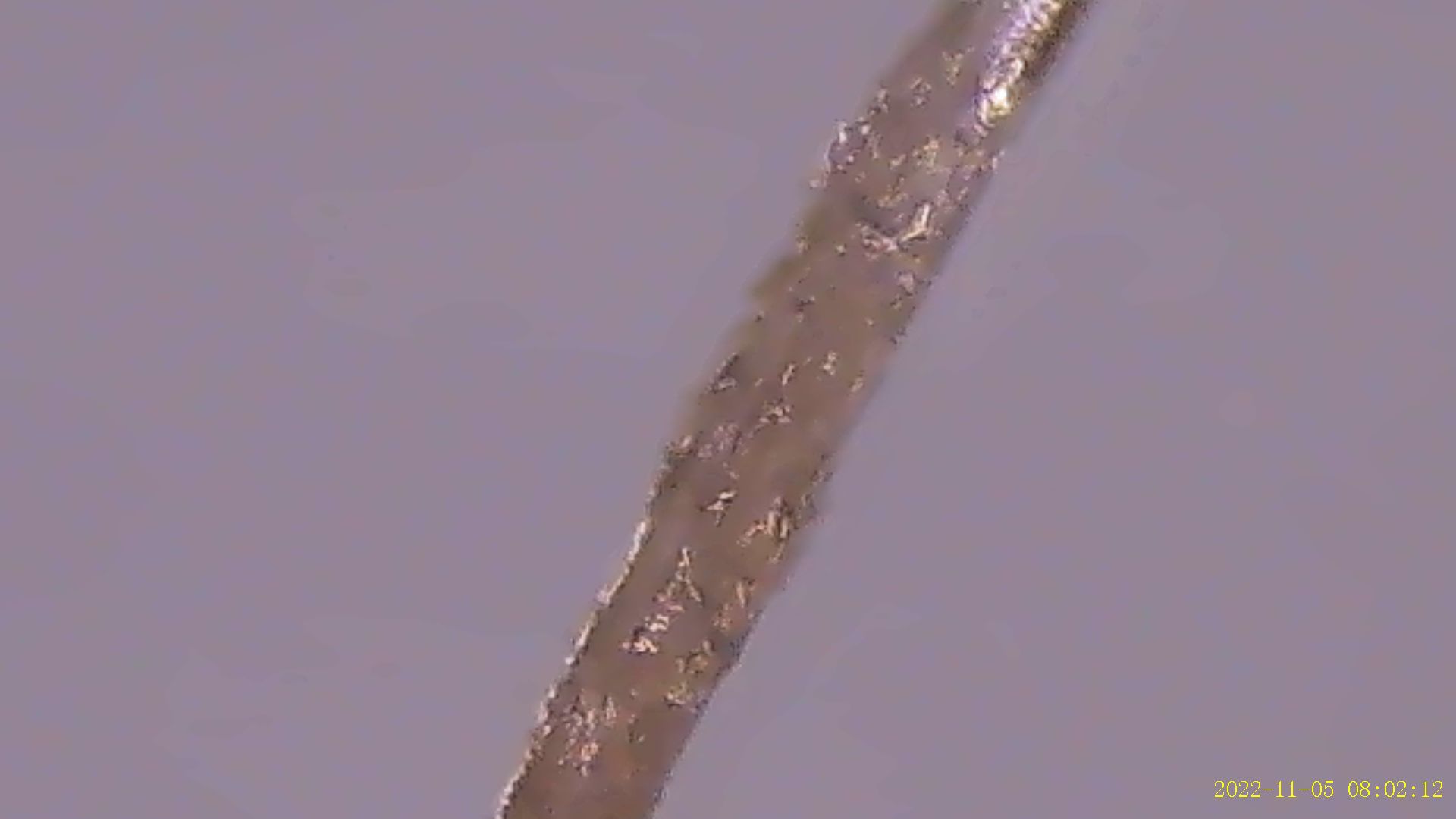 Apexel APL-MS003 digital microscope kit review - The Gadgeteer