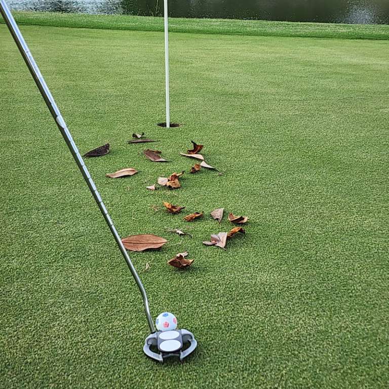 ZoomBroom Golf Breeze Blower review - removing at least one of my ...