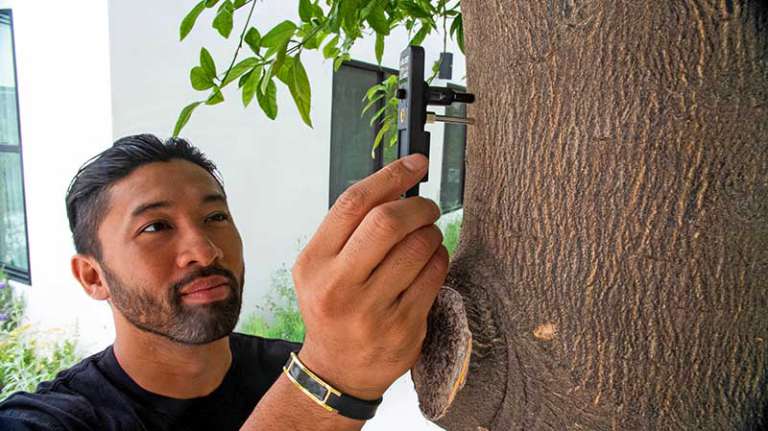 ePlant is a fitness tracker for trees! - The Gadgeteer