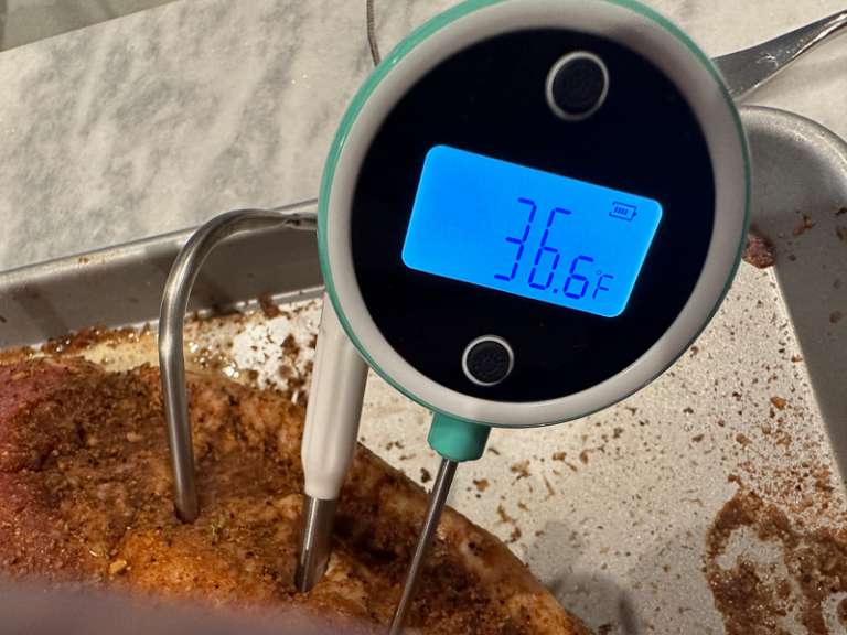 ThermoPro Tempspike II dual wireless meat thermometers review - Now I ...