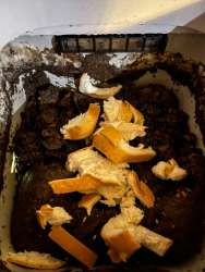 Reencle Composter review - Keep it organic and take your scraps from ...