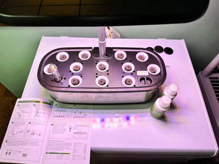 LetPot LPH-SE Hydroponics Growing System review - Grow food without a ...