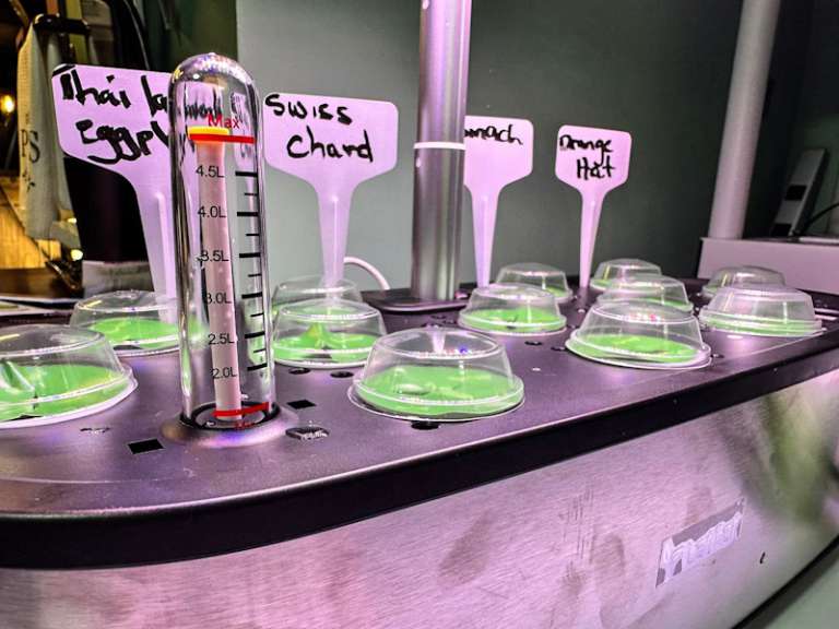 LetPot LPH-SE Hydroponics Growing System review - Grow food without a ...