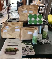 LetPot LPH-SE Hydroponics Growing System review - Grow food without a ...