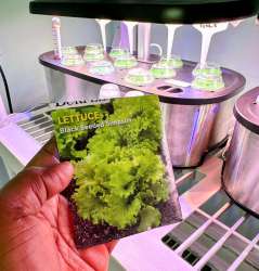 LetPot LPH-SE Hydroponics Growing System review - Grow food without a ...