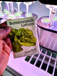 LetPot LPH-SE Hydroponics Growing System review - Grow food without a ...