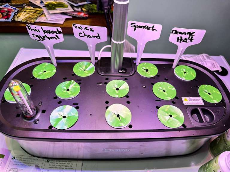 LetPot LPH-SE Hydroponics Growing System review - Grow food without a ...