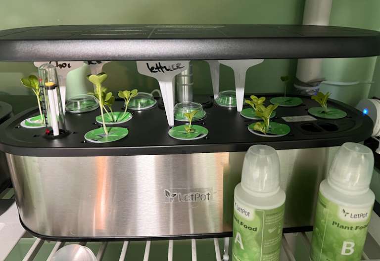 LetPot LPH-SE Hydroponics Growing System review - Grow food without a ...