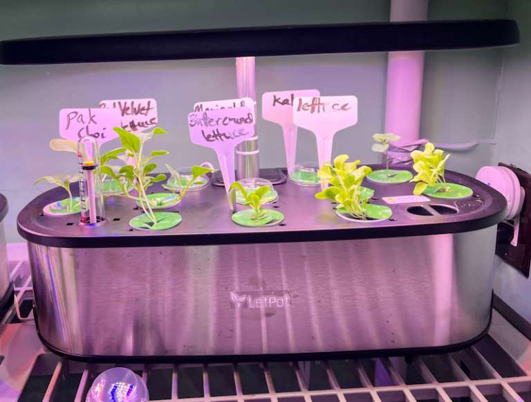 LetPot LPH-SE Hydroponics Growing System review - Grow food without a ...