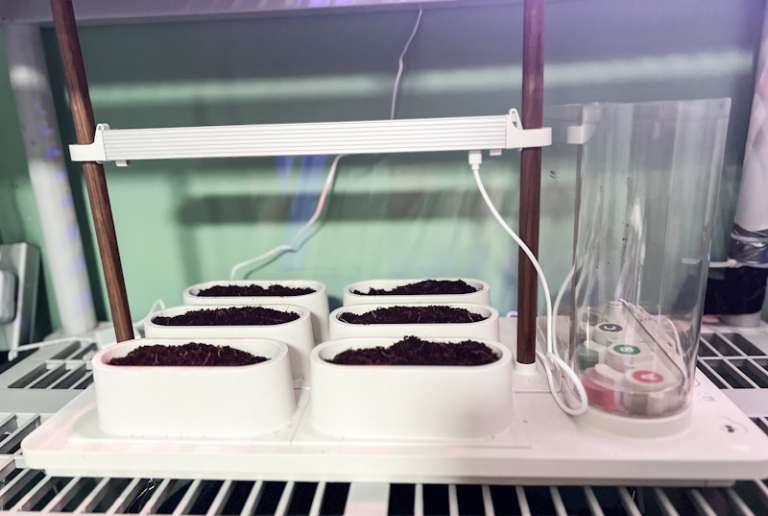 Auk indoor gardening system review - The Gadgeteer