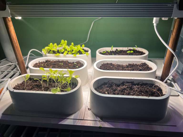 Auk indoor gardening system review - The Gadgeteer