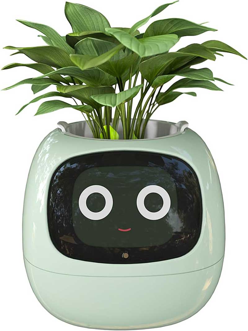 Can this cute little smart flowerpot turn your black thumb to green ...