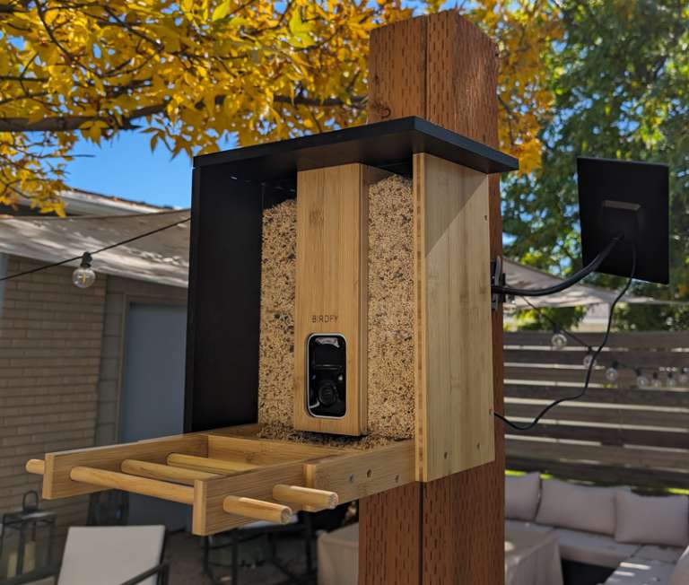 Birdfy Feeder Bamboo review - easily observe feathered friends while ...