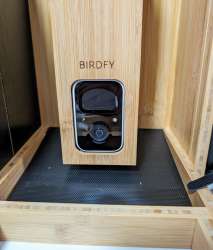 Birdfy Feeder Bamboo review - easily observe feathered friends while ...