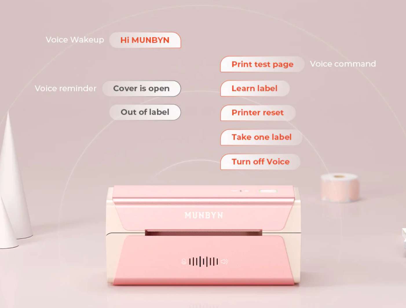 MUNBYN RW401AP Thermal Label Printer review - third time is the charm ...