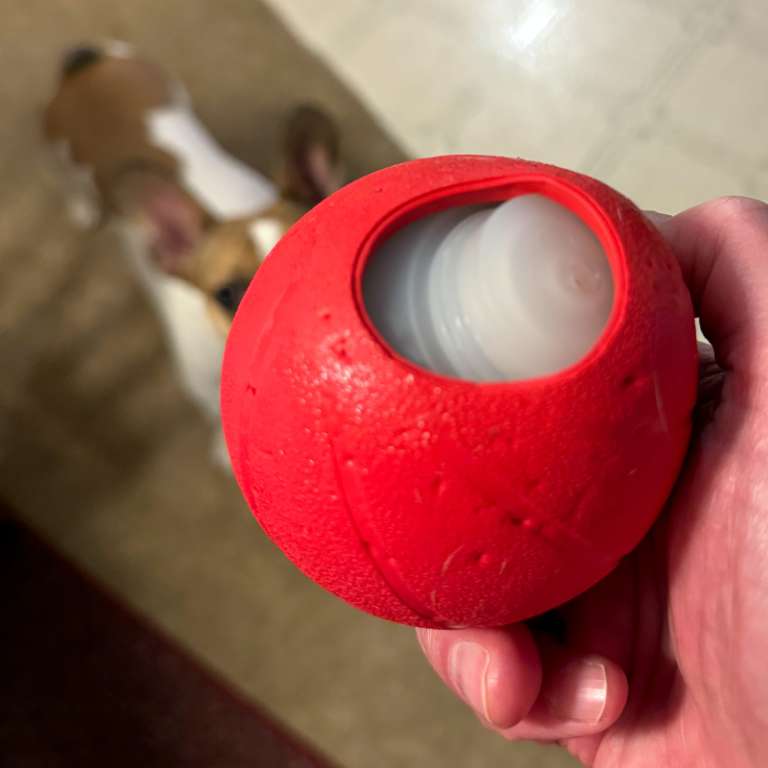 Cheerble Wicked Bone & Wicked Ball PE dog toys reviews - Fun for you ...