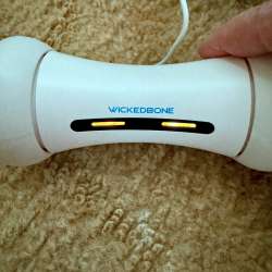 Cheerble Wicked Bone & Wicked Ball PE dog toys reviews - Fun for you ...