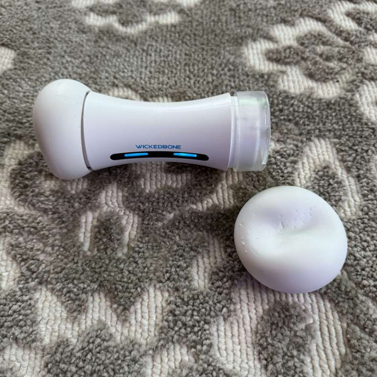 Cheerble Wicked Bone & Wicked Ball PE dog toys reviews - Fun for you ...