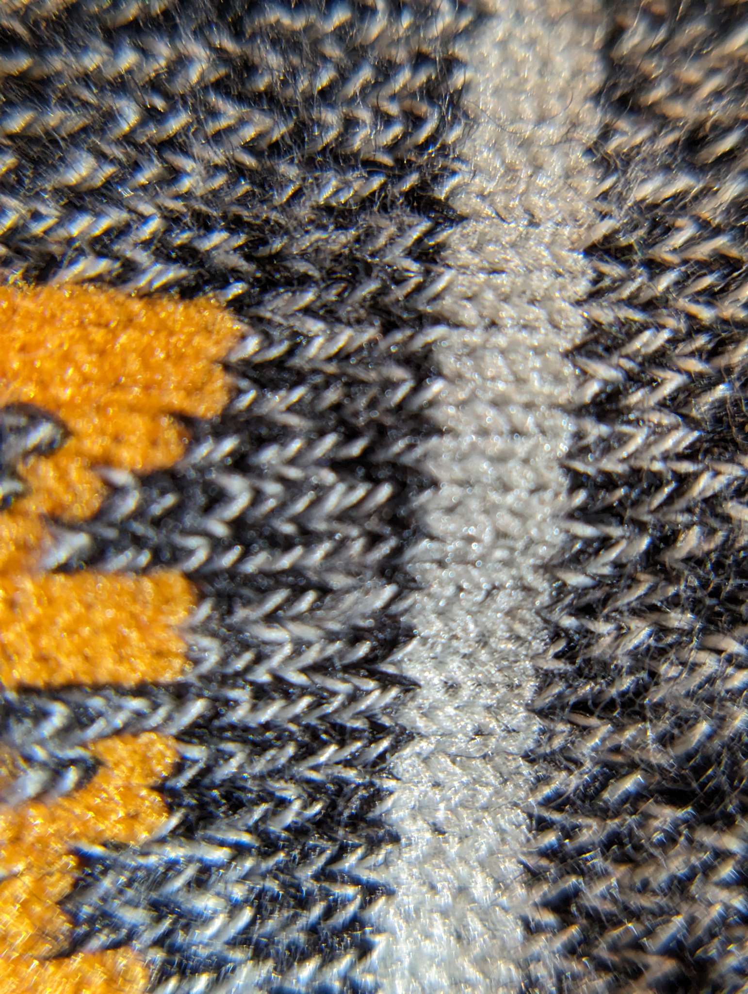 Worn Sock review - the best socks you can get - The Gadgeteer
