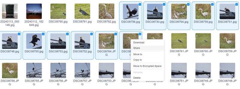 PhotoSphere photo backup and sharing device review - Apples and ...
