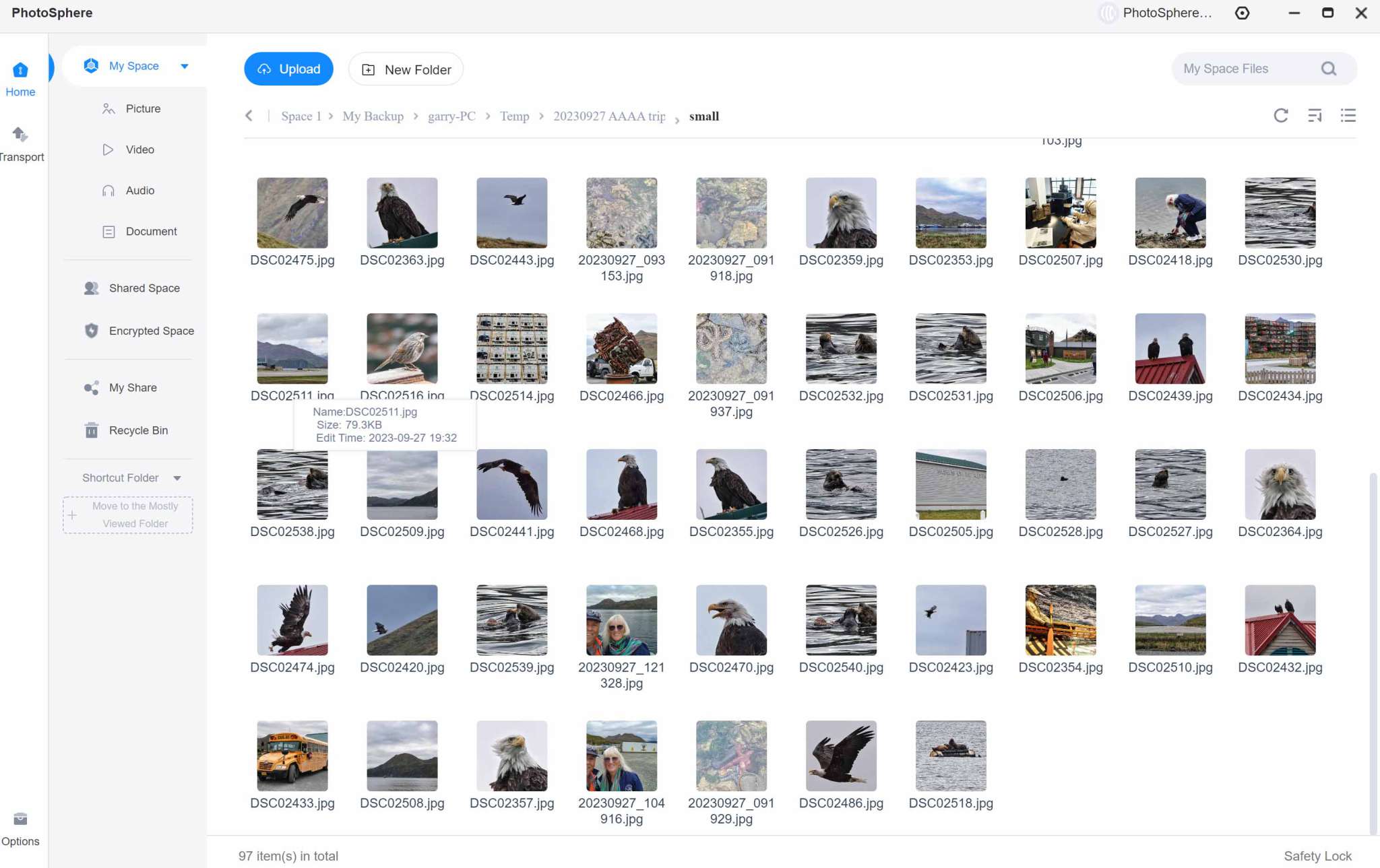 PhotoSphere photo backup and sharing device review - Apples and ...