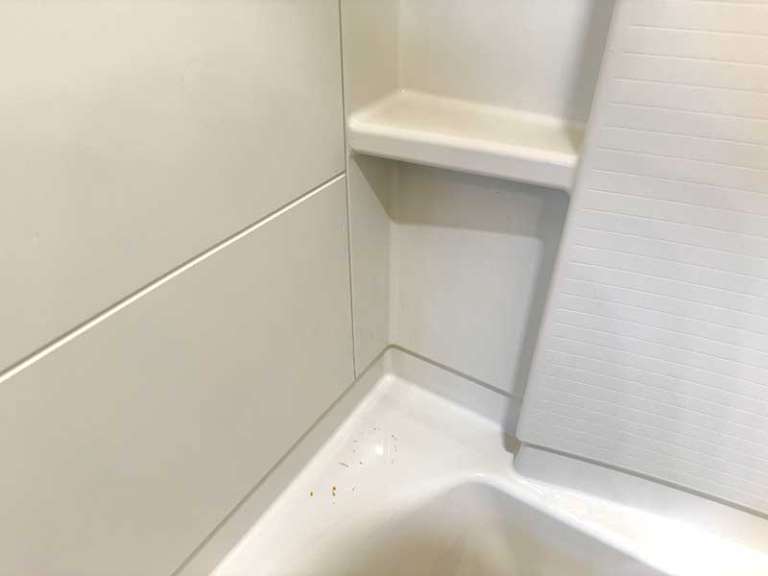 qimedo 1200 RPM electric spin scrubber review - The Gadgeteer