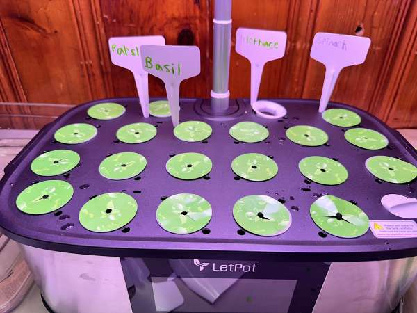 LetPot LPH-Max 21 Pods Hydroponics Growing System review - The Gadgeteer