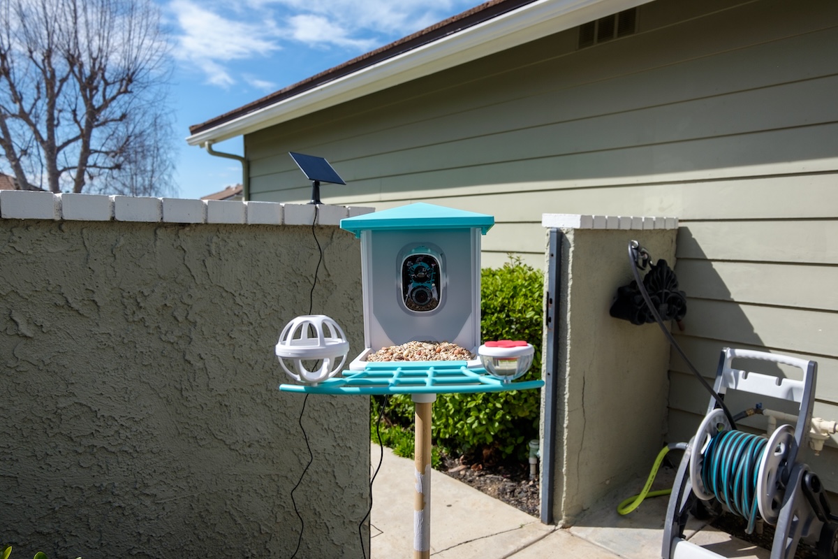 isYoung Smart bird feeder review - The Gadgeteer
