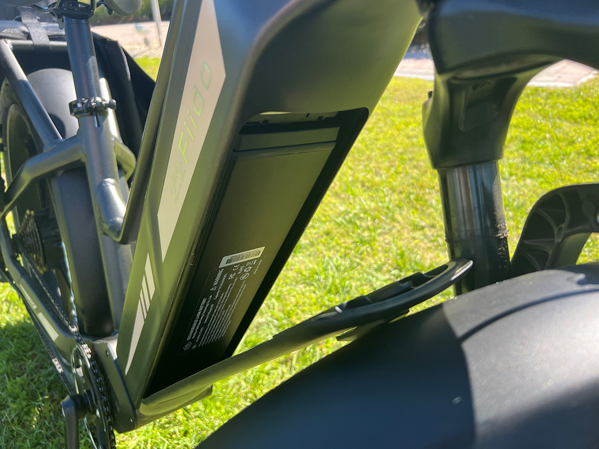 Fiido Titan Robust Cargo Electric Bike review - the bike you want at ...