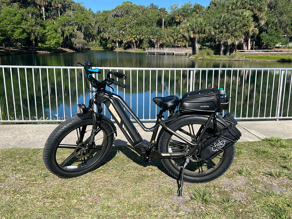 Fiido Titan Robust Cargo Electric Bike review - the bike you want at ...