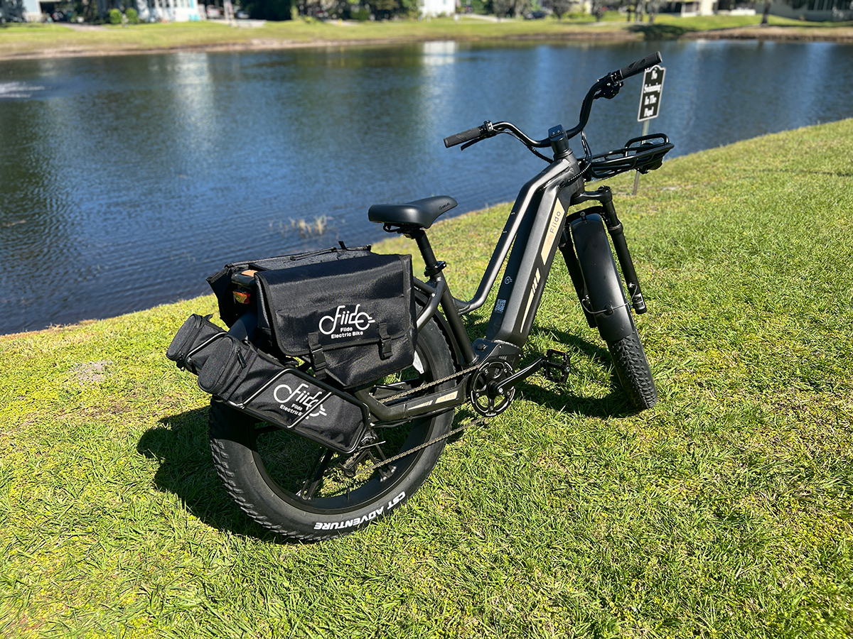 Fiido Titan Robust Cargo Electric Bike review - the bike you want at ...