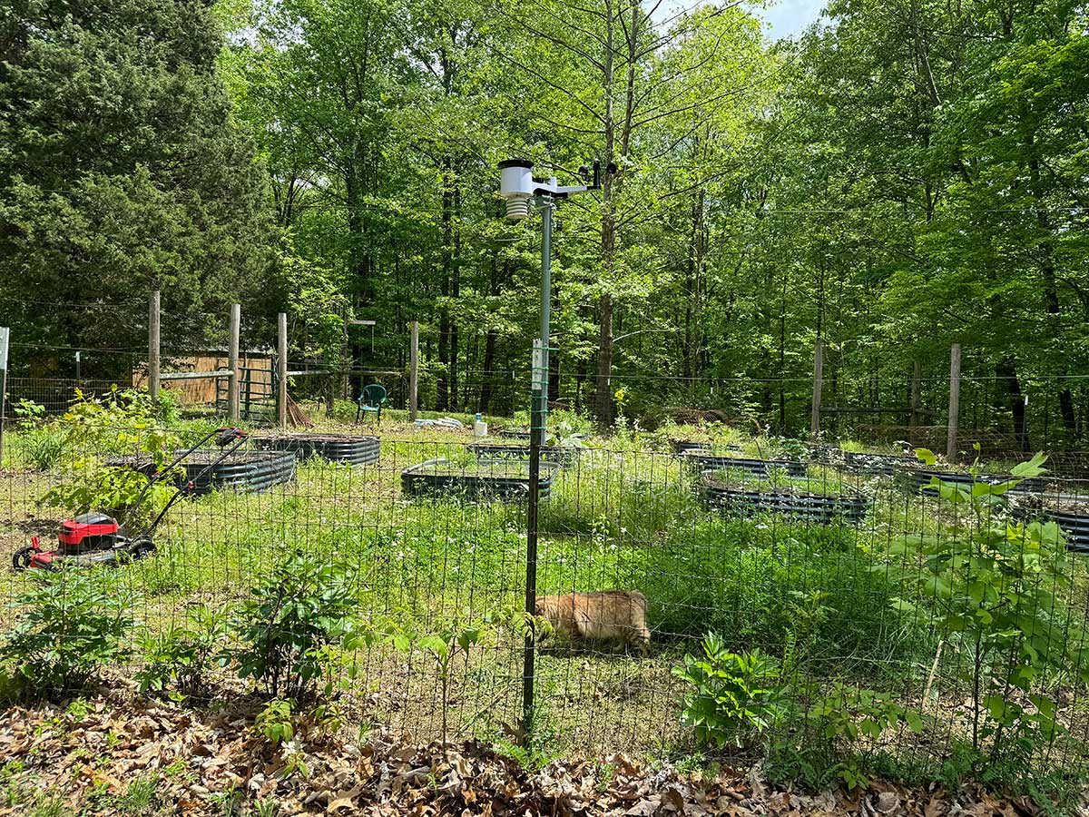 AccuWeather WS-2000 Ambient Weather System review - The Gadgeteer