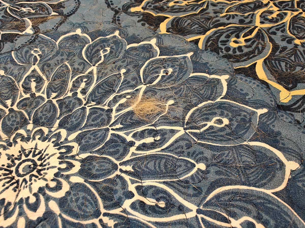 Jimmy BX7 Pro mattress vacuum cleaner review - dust mites, pet hair ...