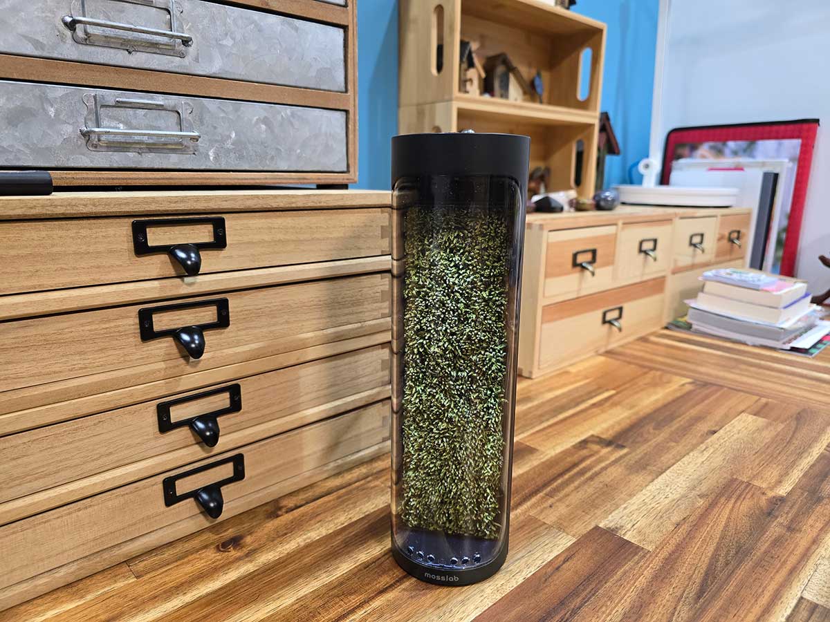 mosslab Moss Air humidifier air purifier review - air purification with ...