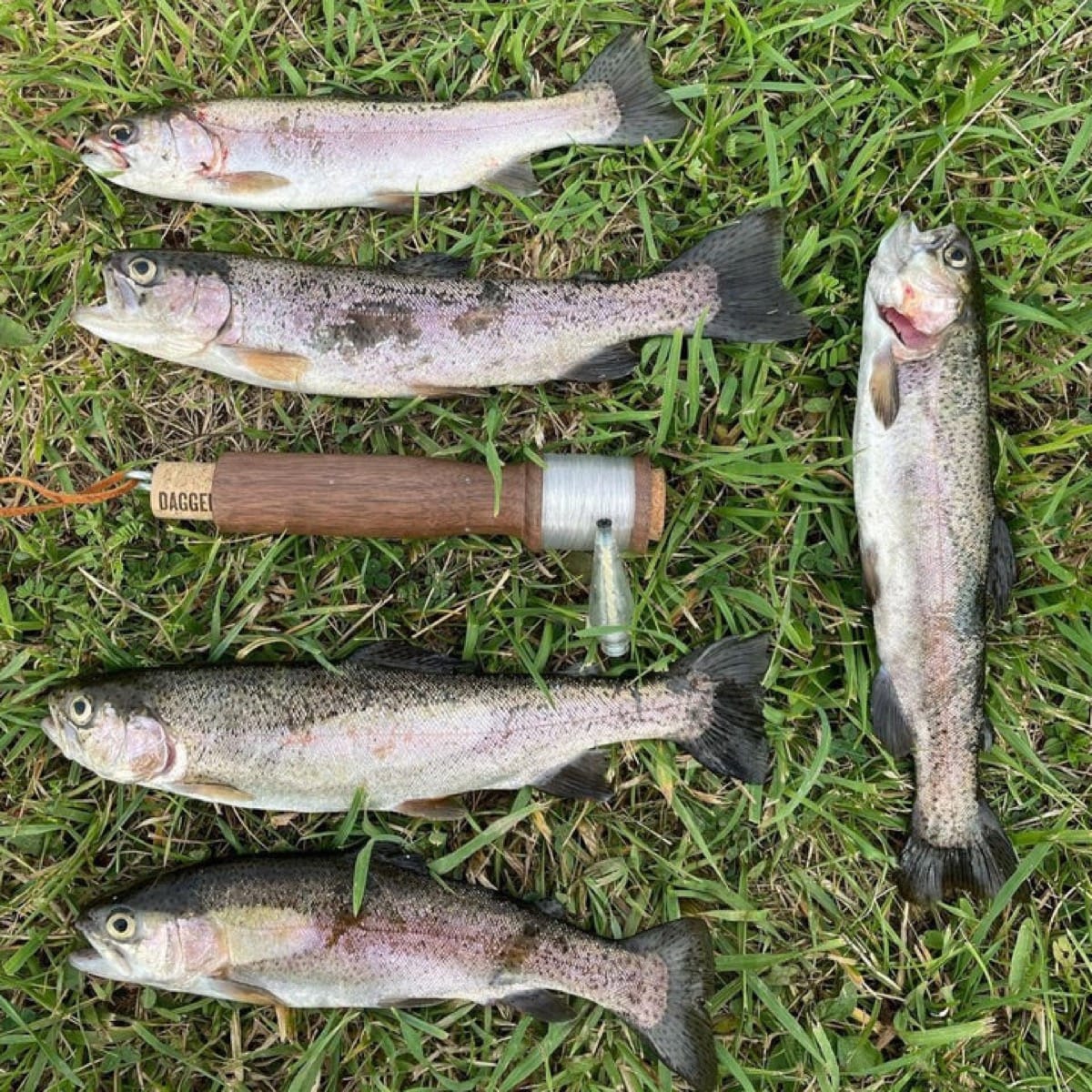 Daggerfish Handreel fishing pole - The ultimate portable fishing ...
