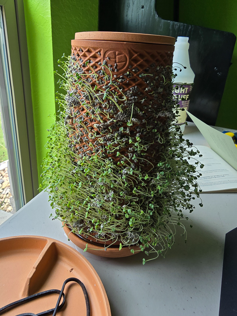 Tevaplanter planter review - A more modern chia pet! - The Gadgeteer