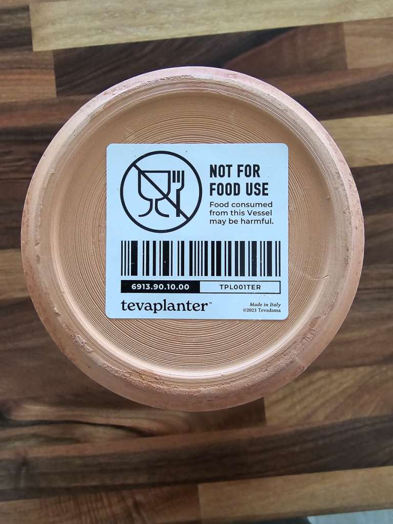 Tevaplanter planter review - A more modern chia pet! - The Gadgeteer
